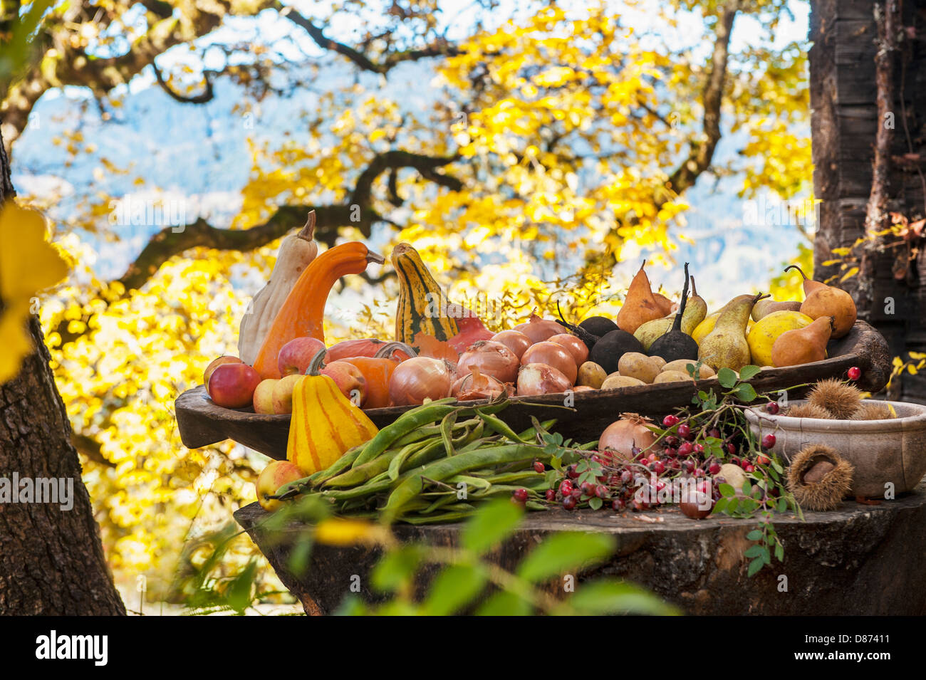 Austria, Salzburg Country, Various harvested fruits in garden Stock ...