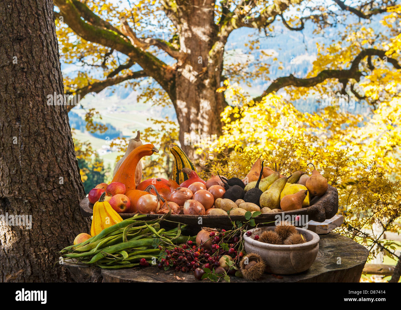 Austria, Salzburg Country, Various harvested fruits in garden Stock ...