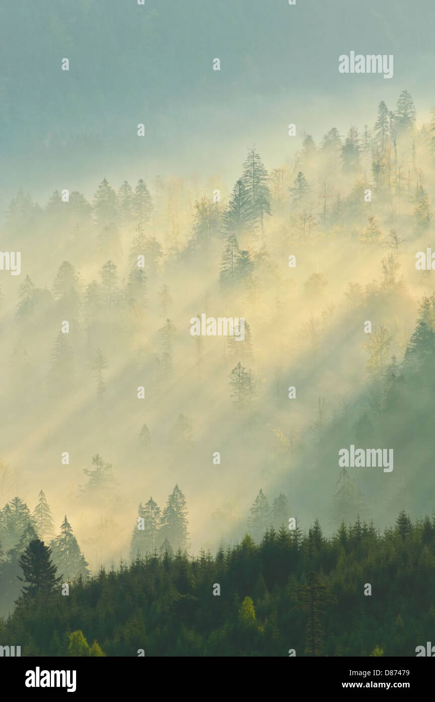 View upper murg valley black forest near hi-res stock photography and ...