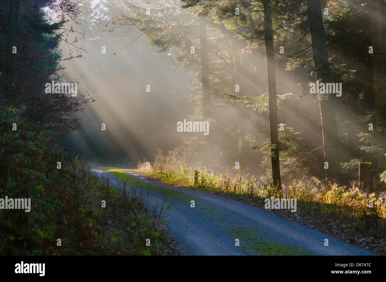 Seebach view hi-res stock photography and images - Alamy