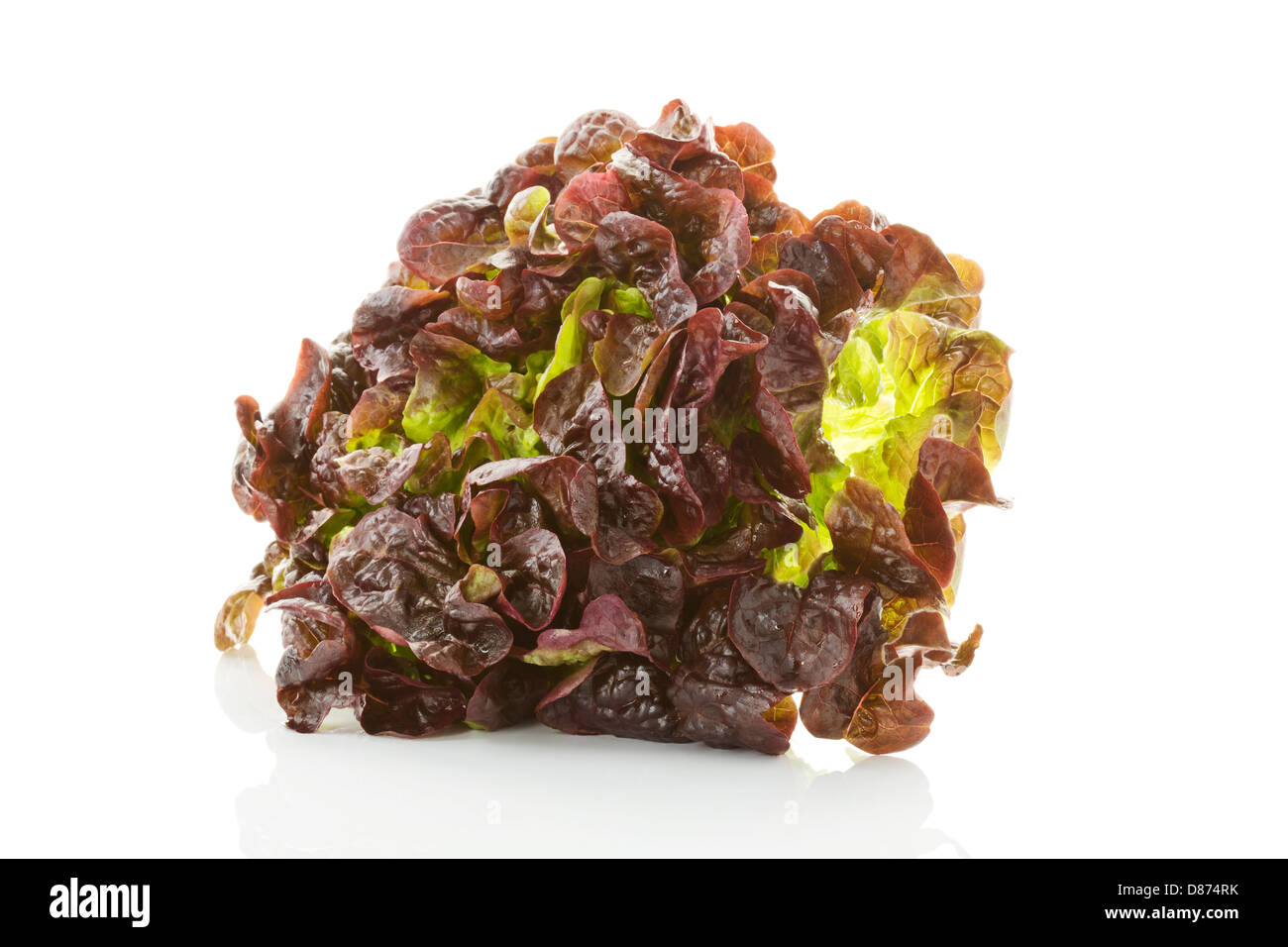 Red leaf lettuce on white background, close up Stock Photo - Alamy