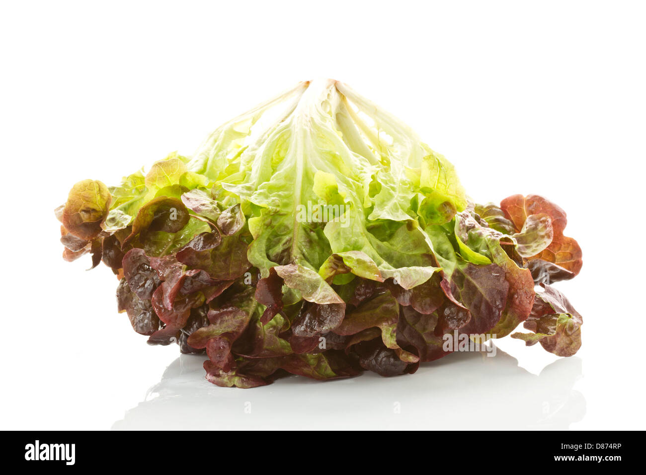 Red leaf lettuce on white background, close up Stock Photo - Alamy