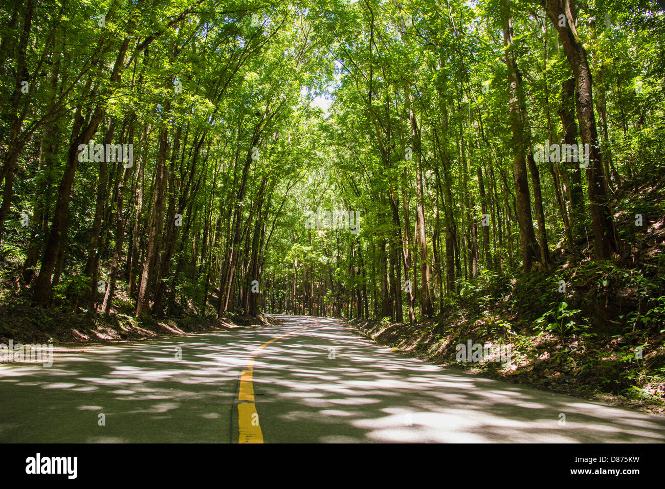 Philippines, Bohol, View of empty road Stock Photo - Alamy