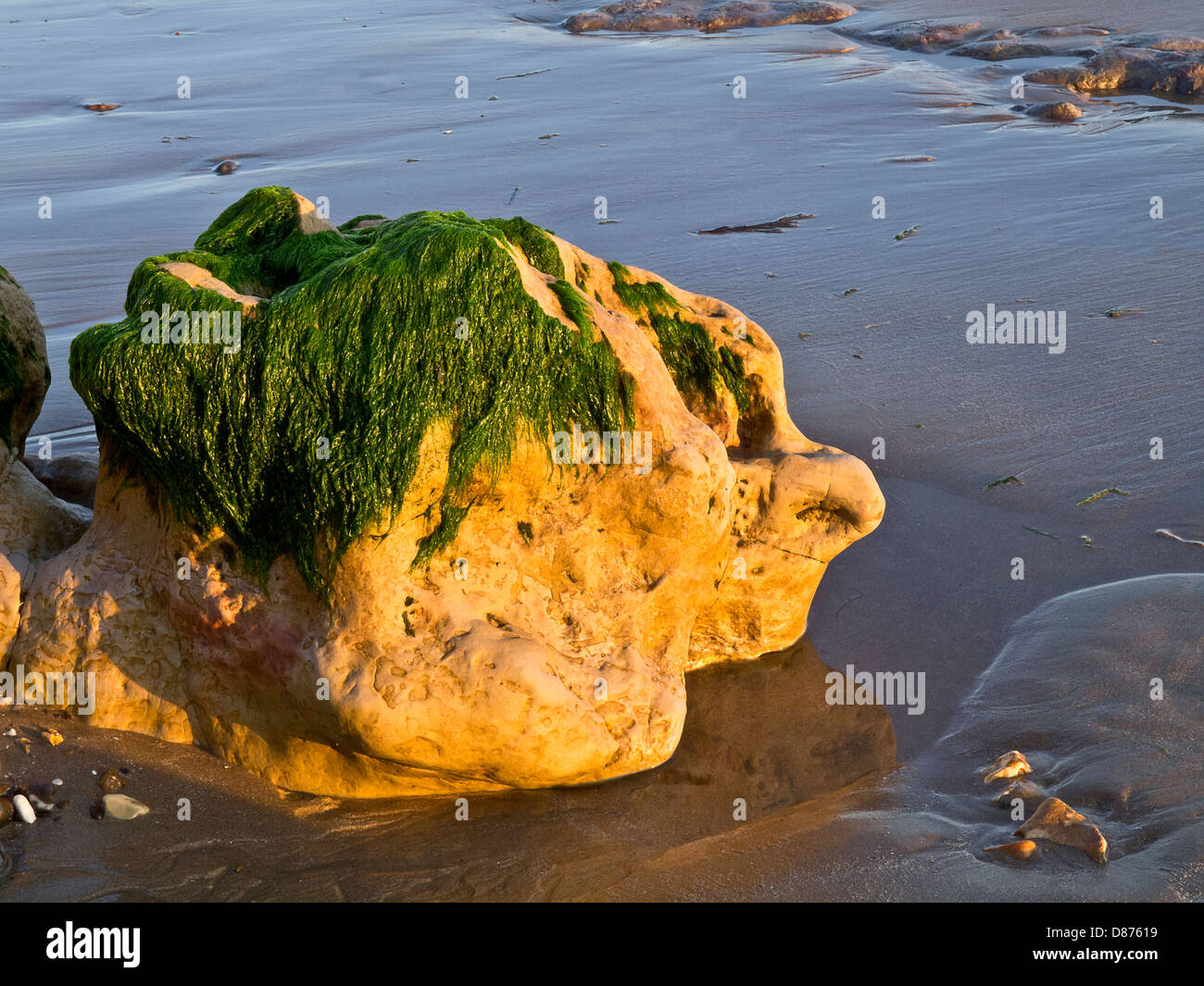 Small mossy rock on the sandy beach looking as head with smiling face ...
