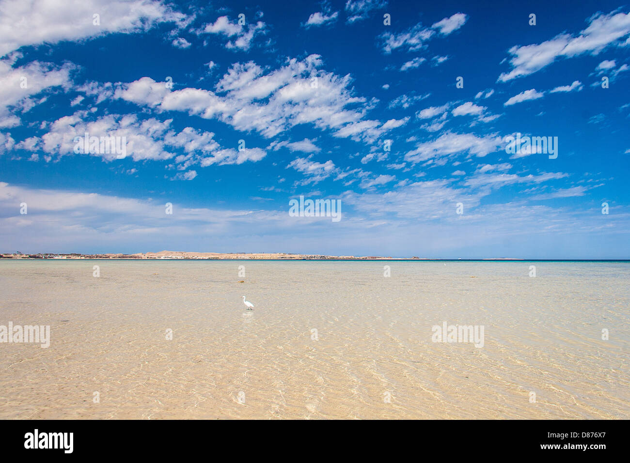 Red Sea coast line near Hurhada Stock Photo - Alamy