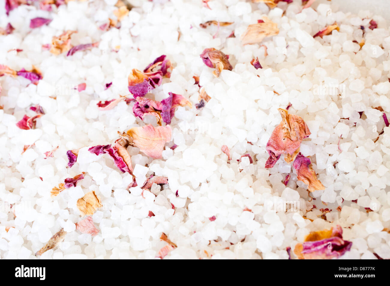 Salt scrub rose hi-res stock photography and images - Alamy