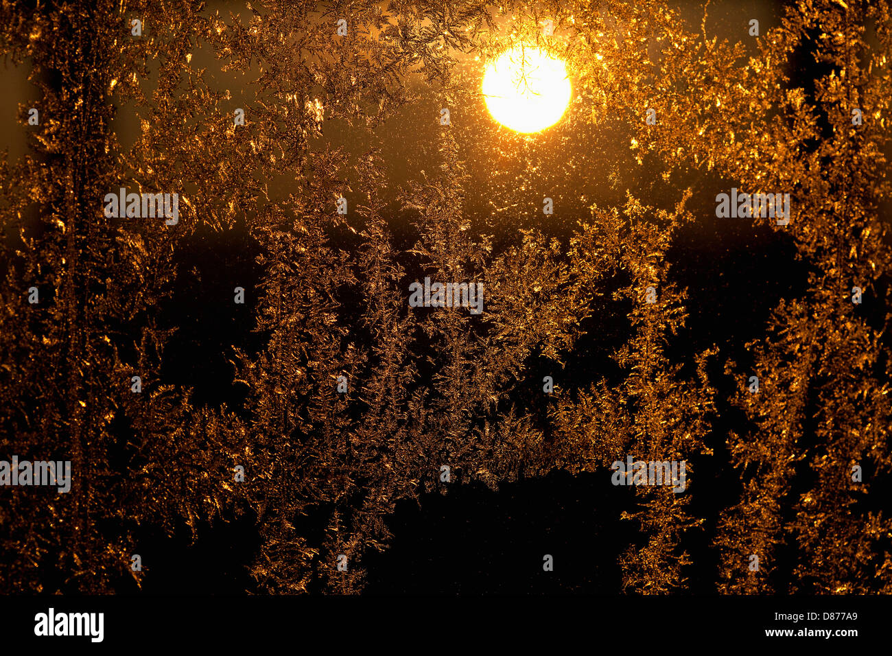 Crystal night germany hi-res stock photography and images - Alamy