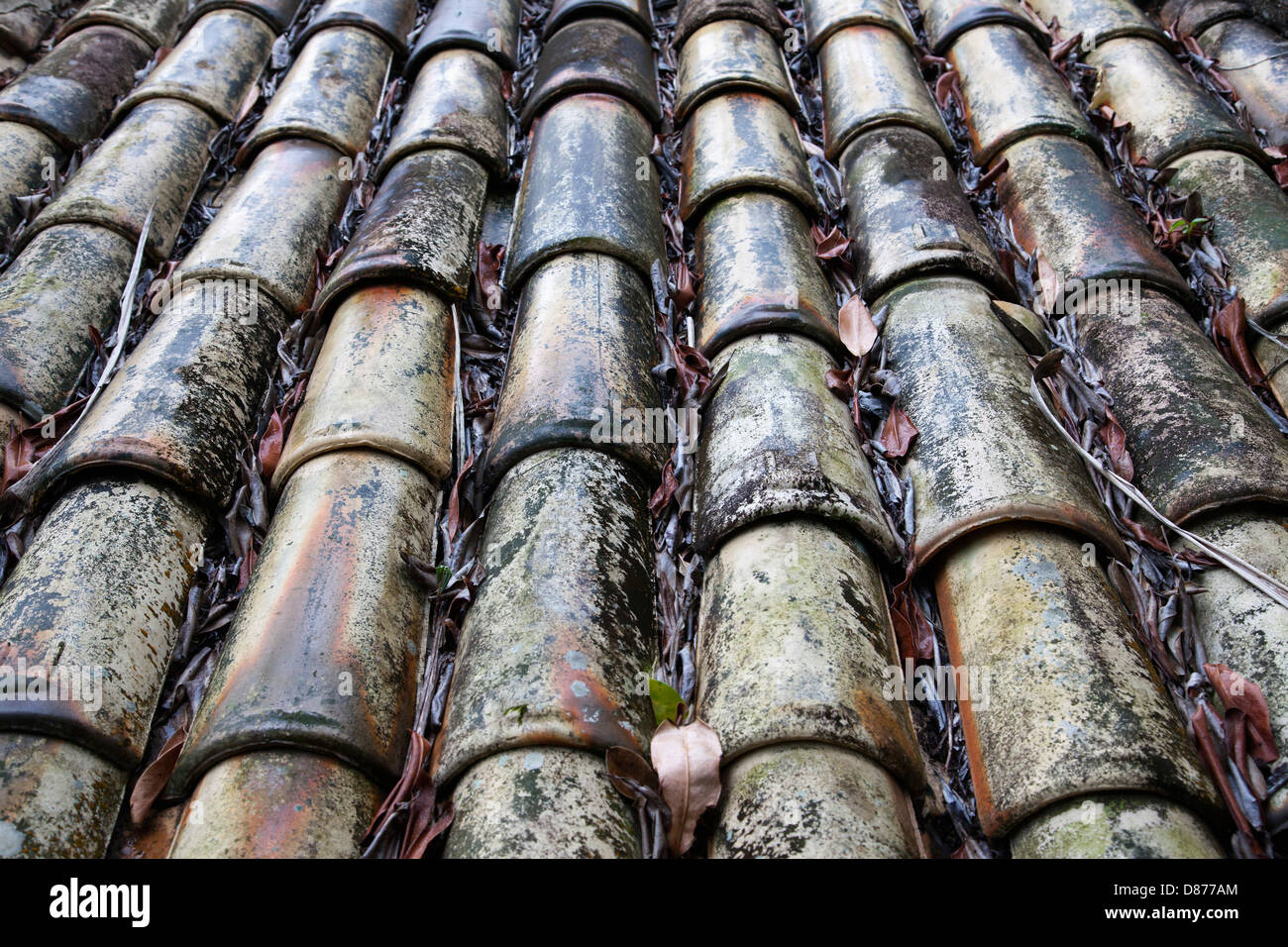 Brazil, View of roof tiles Stock Photo - Alamy