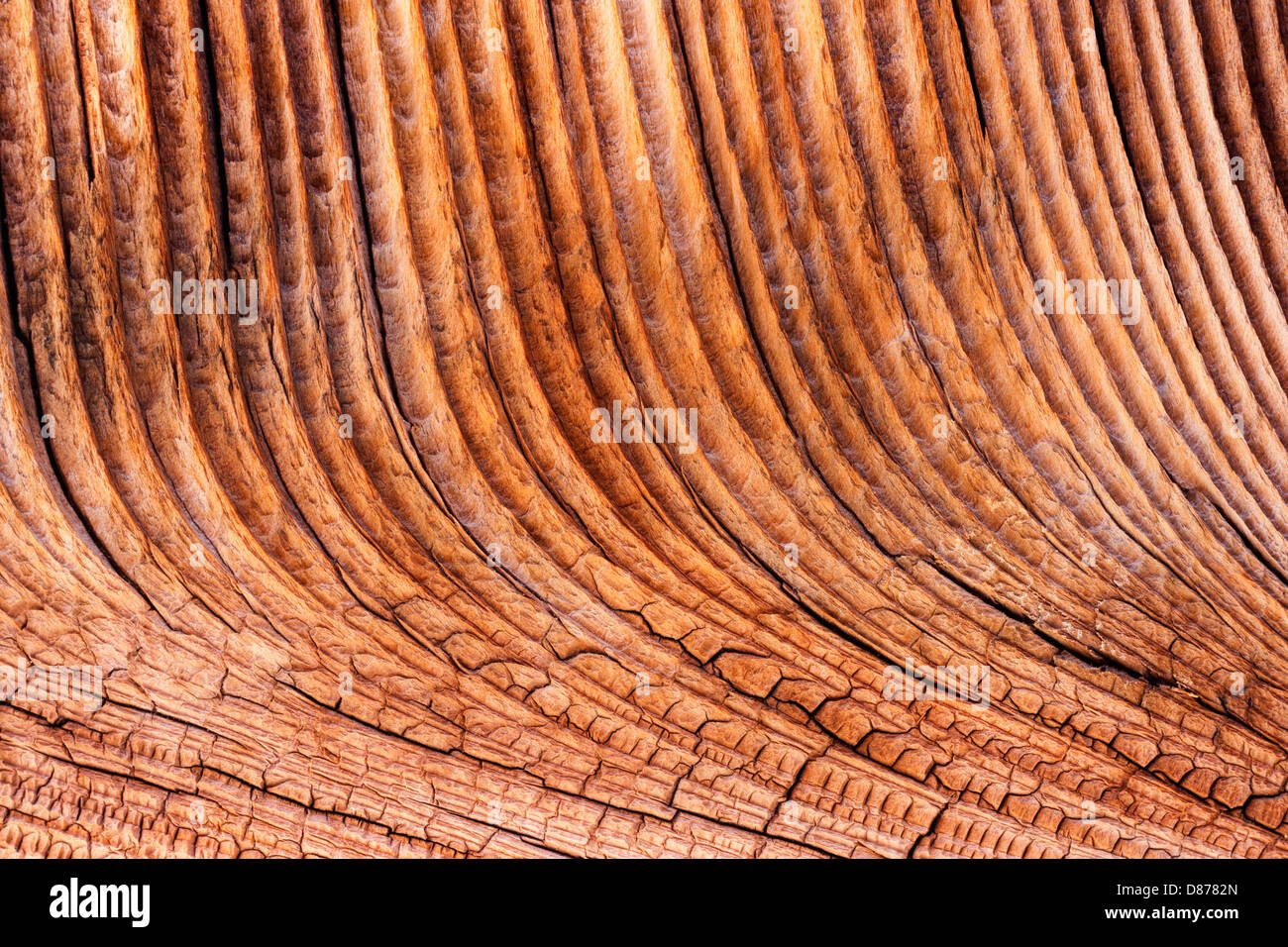 Germany, Old spruce wood board, close up Stock Photo - Alamy
