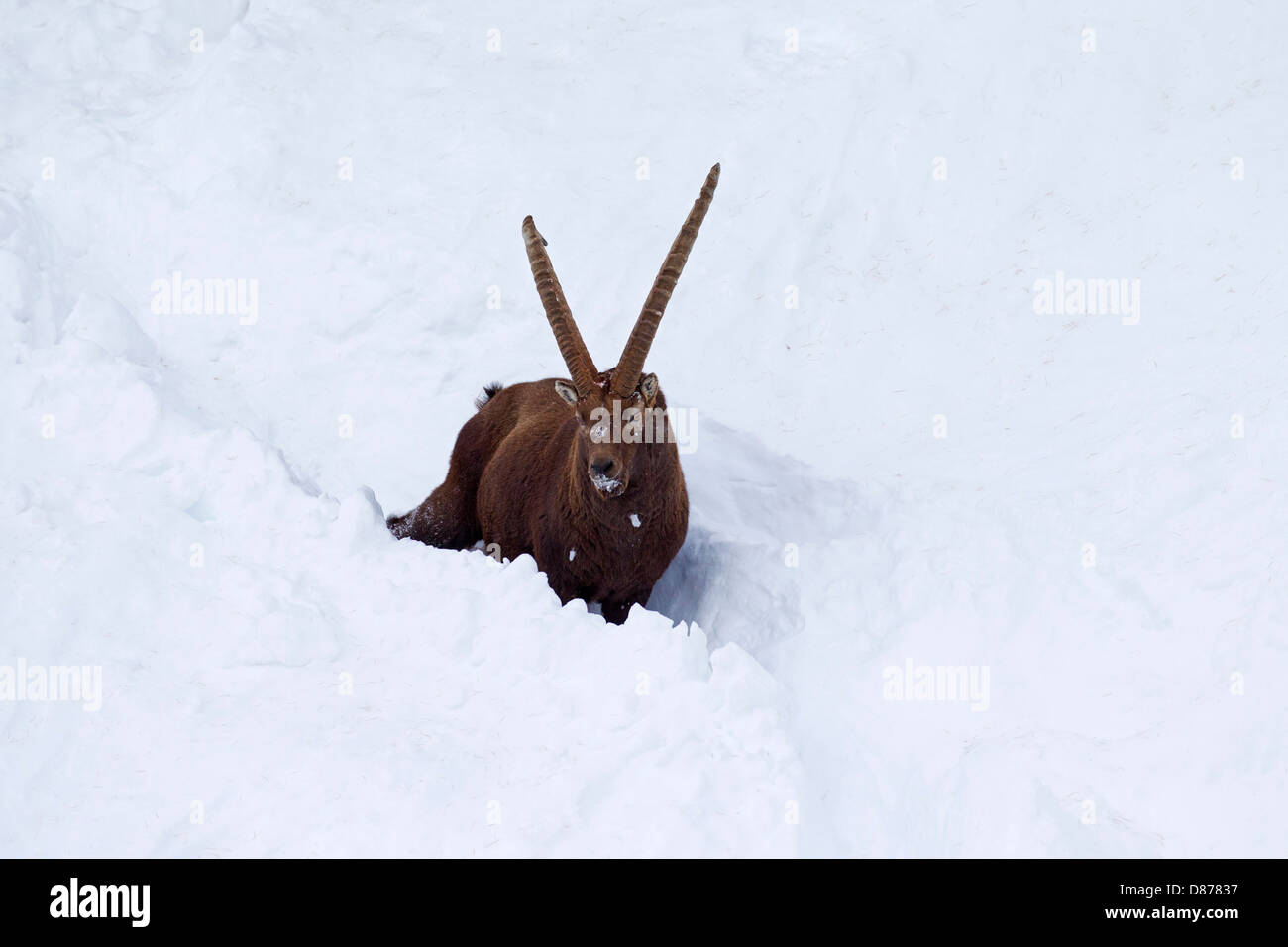 Slogging hi-res stock photography and images - Alamy