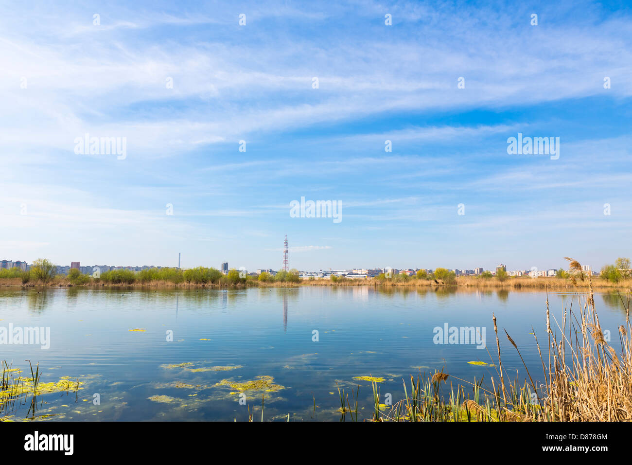 Daytime view of aquatic ecosystem on old Vacaresti Lake near south ...