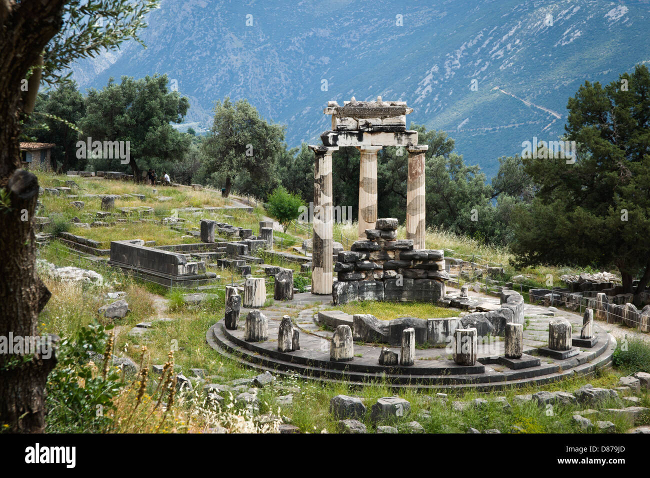 Pronoia hi-res stock photography and images - Alamy