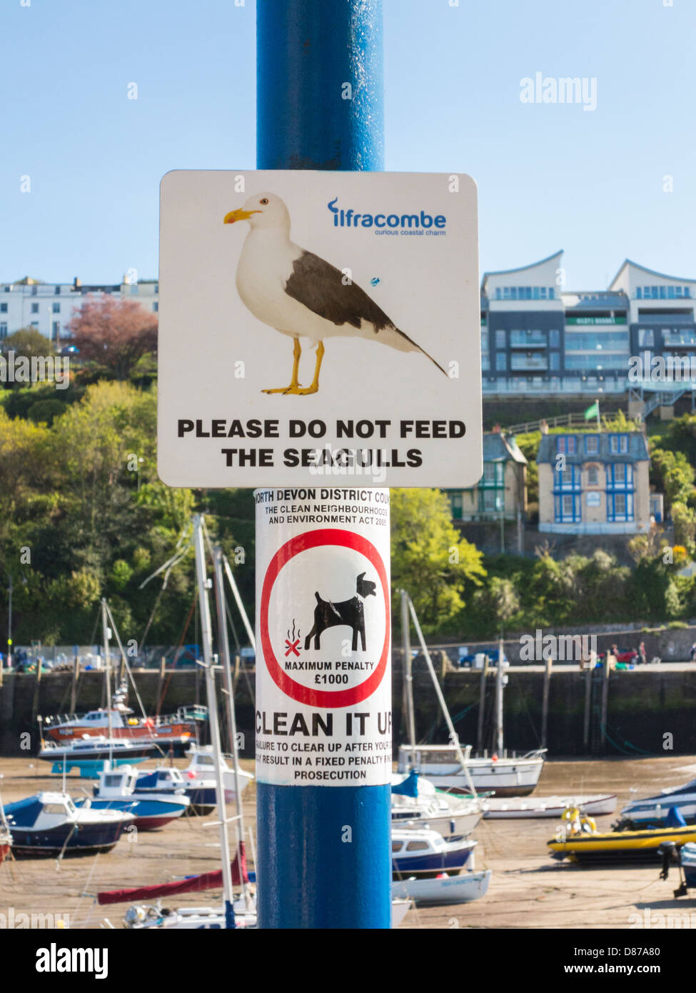 Seagull warning hi-res stock photography and images - Alamy