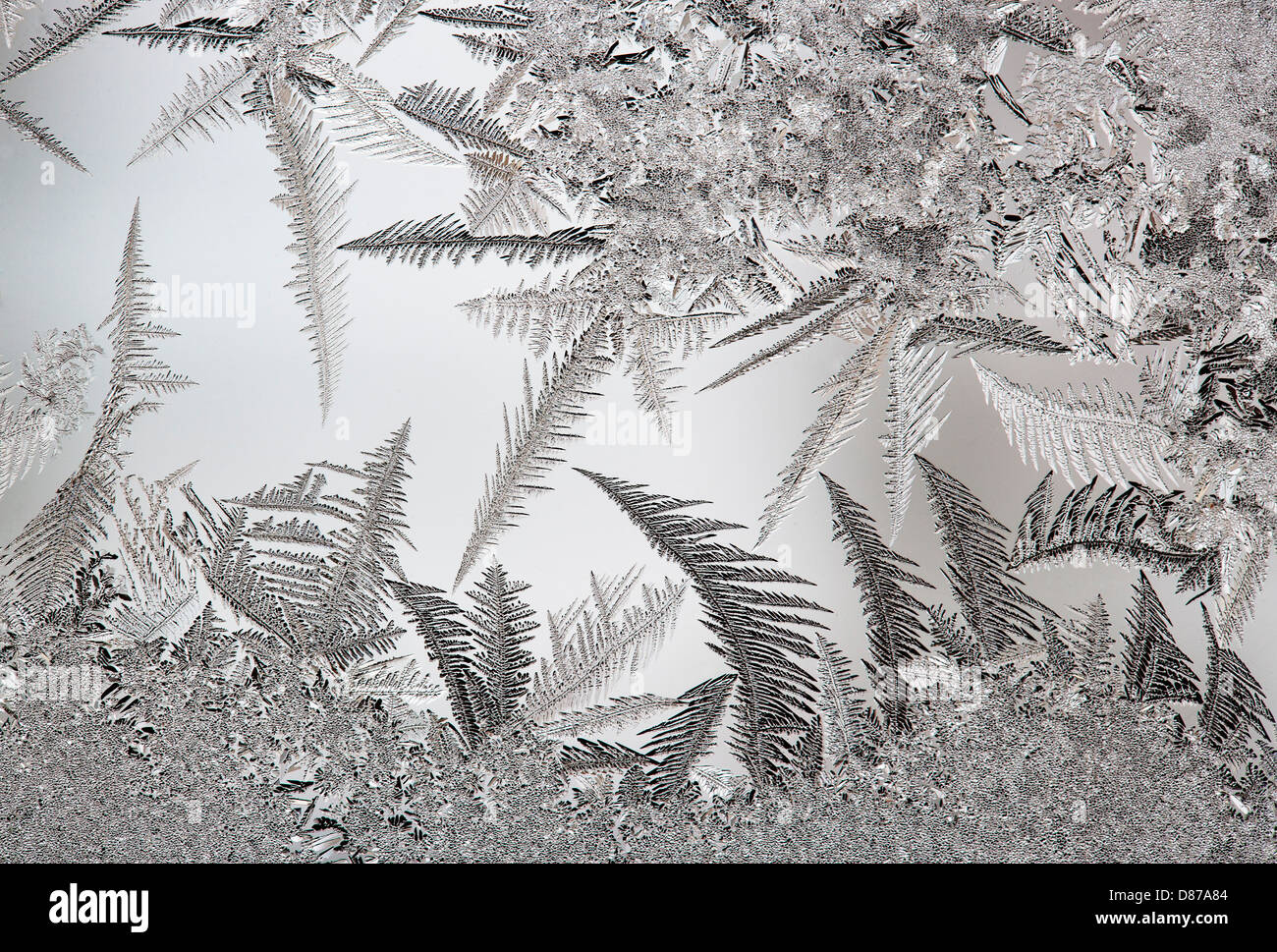 Austria, Window covered with Ice crystal, close up Stock Photo - Alamy