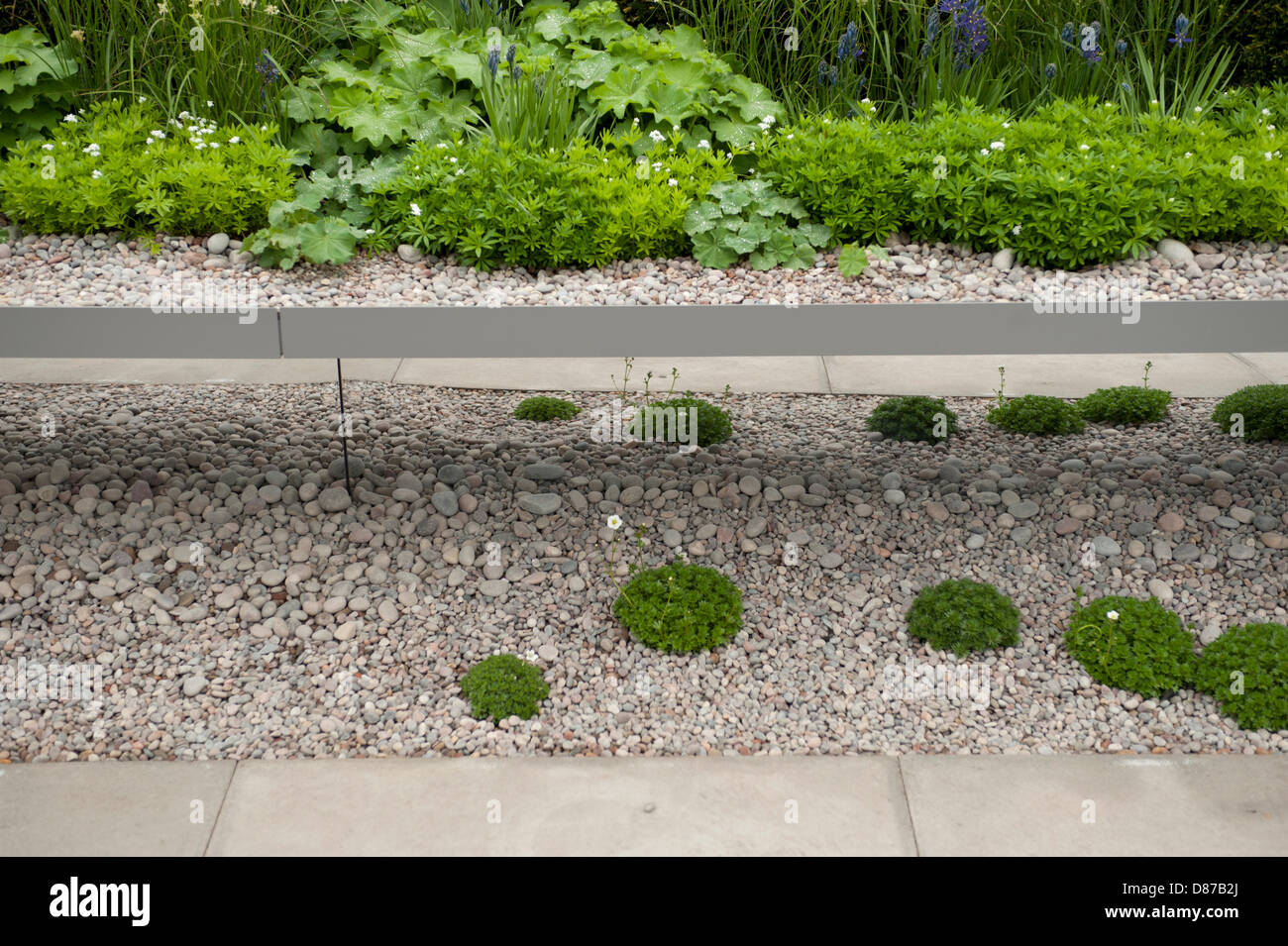 Patrick collins hi-res stock photography and images - Alamy