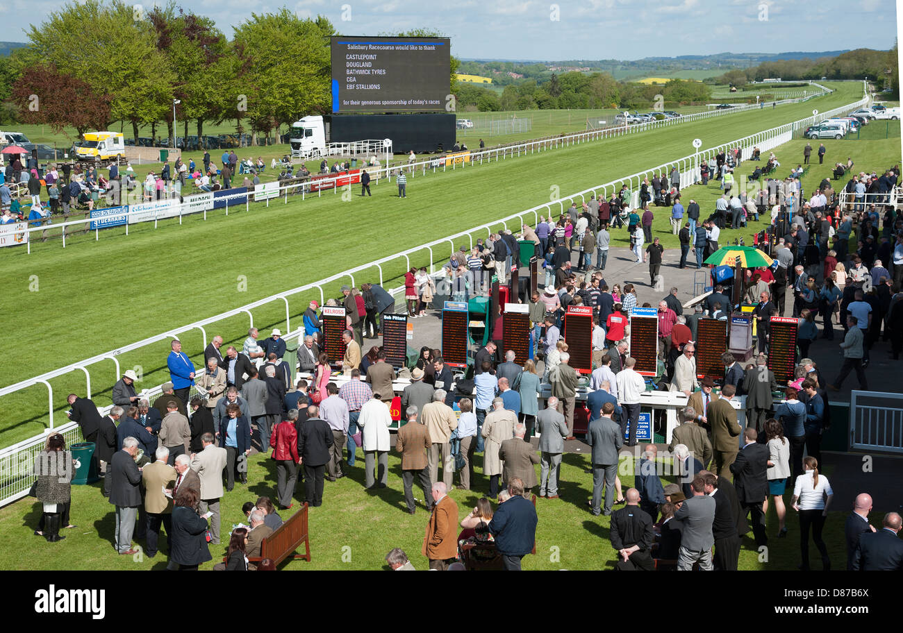 Racing at Salisbury Racecourse England UK Stock Photo - Alamy