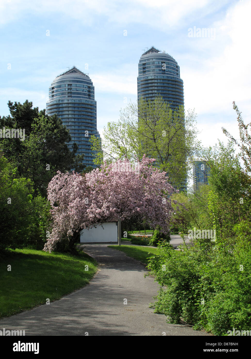 Toronto vegetation hi-res stock photography and images - Alamy
