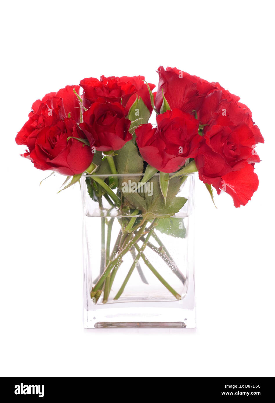 Roses shabby chic rose Cut Out Stock Images & Pictures - Alamy