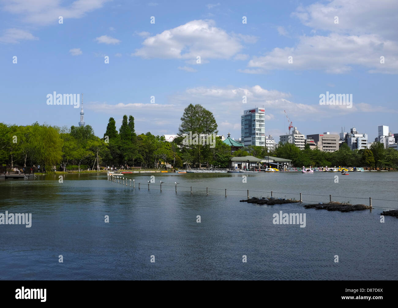 Shinobazu pond, Ueno park Stock Photo - Alamy
