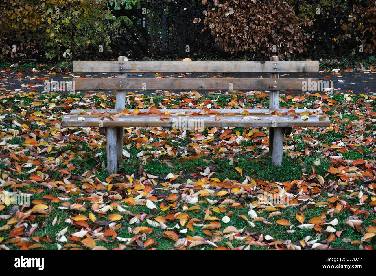 Germany, Bavaria, Park bench with autumn leaves Stock Photo - Alamy
