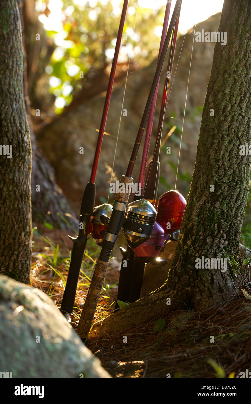 Fishing Poles rods against tree Stock Photo - Alamy