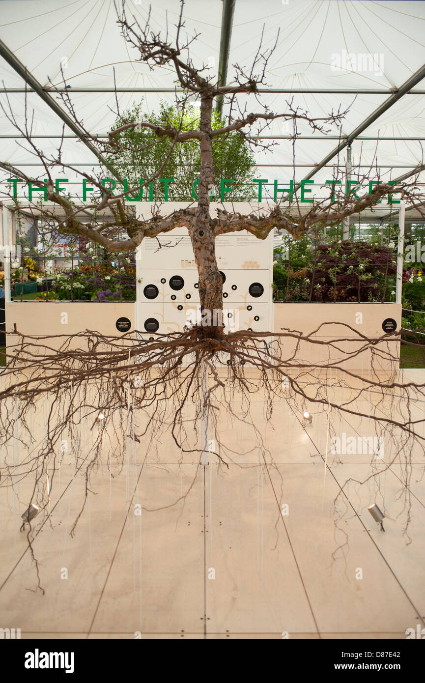 East malling apple hi-res stock photography and images - Alamy