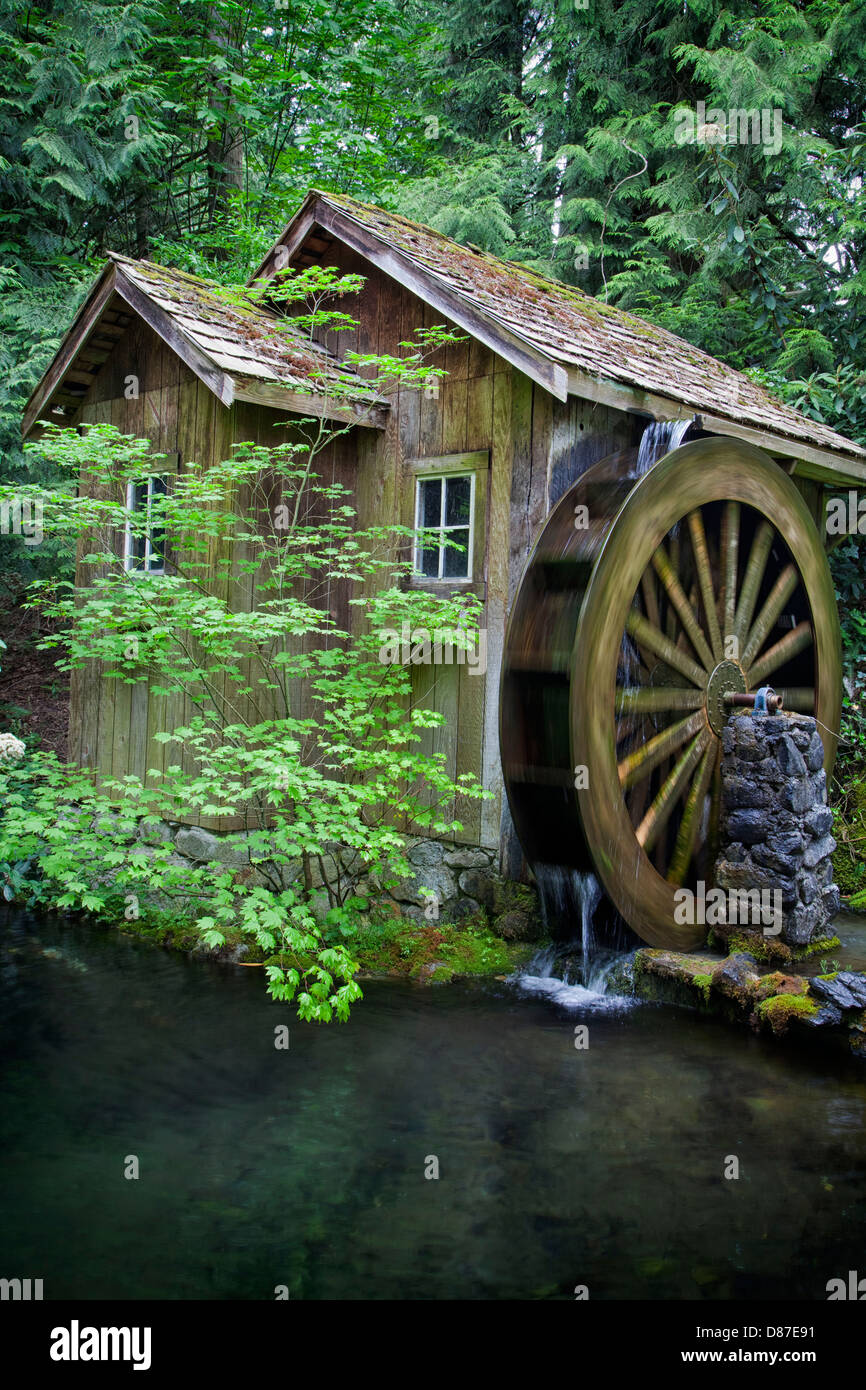 Water wheel in the forest Stock Photo - Alamy