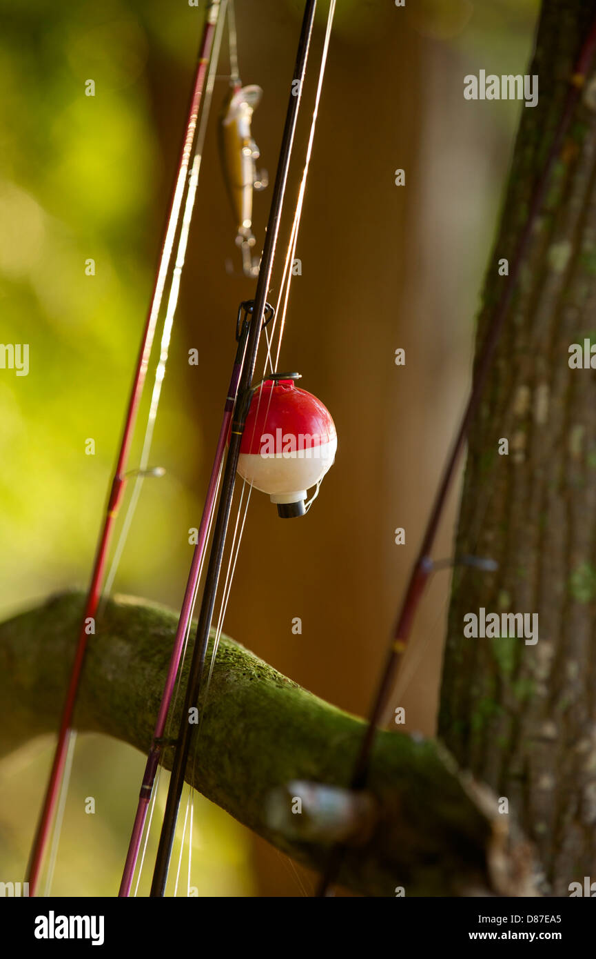Fishing Poles rods against tree Stock Photo - Alamy