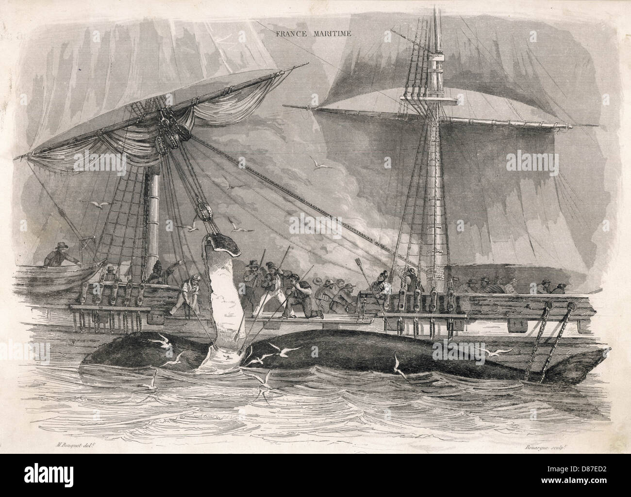 Whale blubber hi-res stock photography and images - Alamy