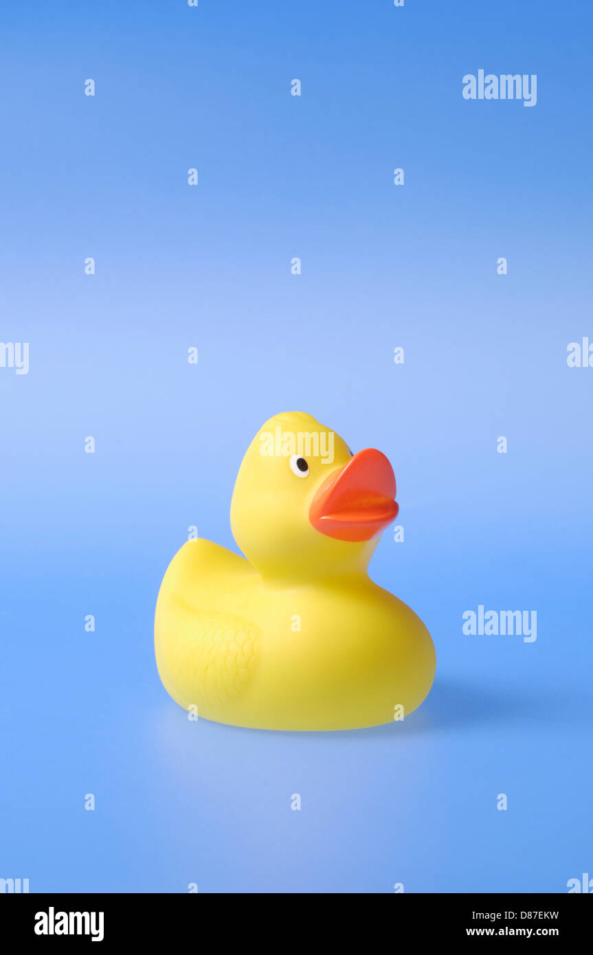 Rubber duck toy floating in water Stock Photo - Alamy