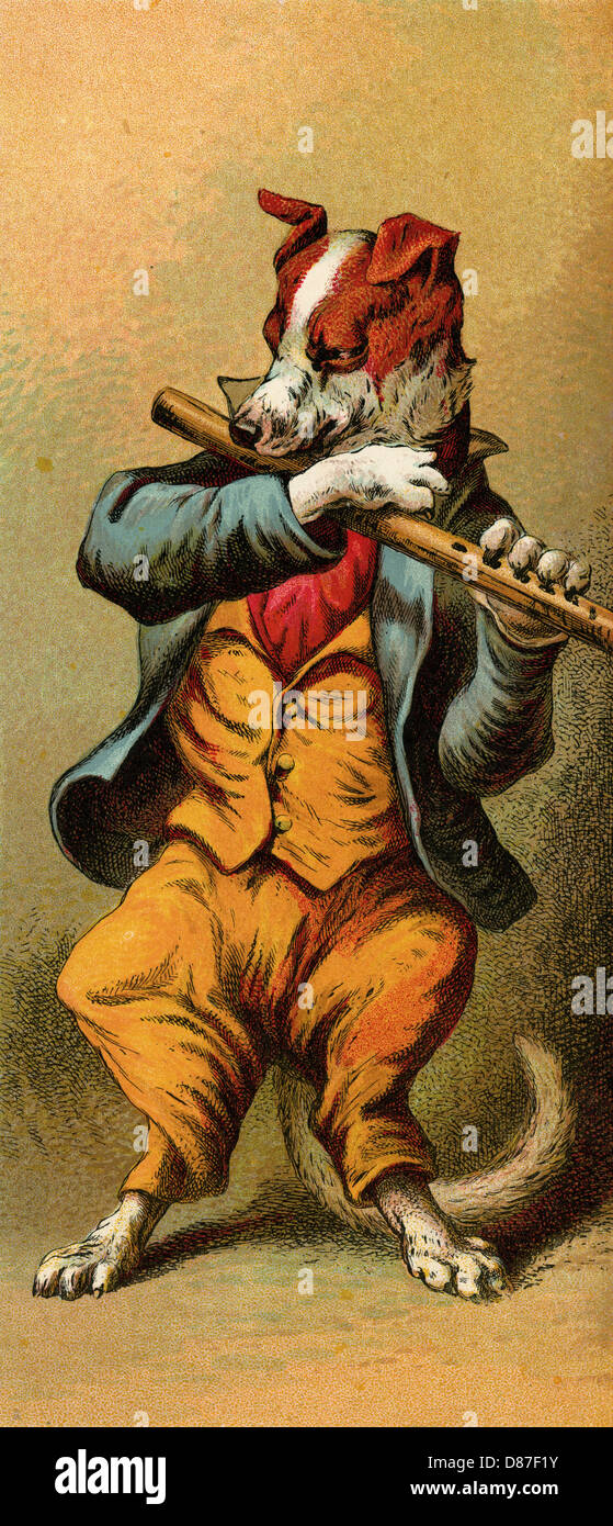 Hubbard flute hi-res stock photography and images - Alamy