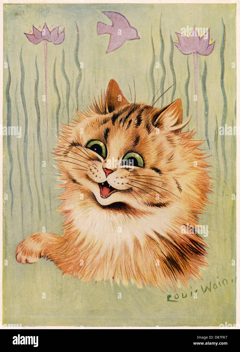 AN EXCITED CAT Stock Photo - Alamy