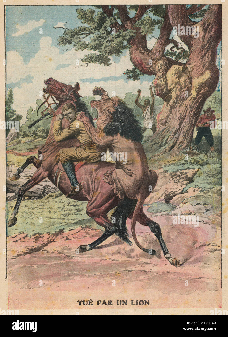 George grey hi-res stock photography and images - Alamy