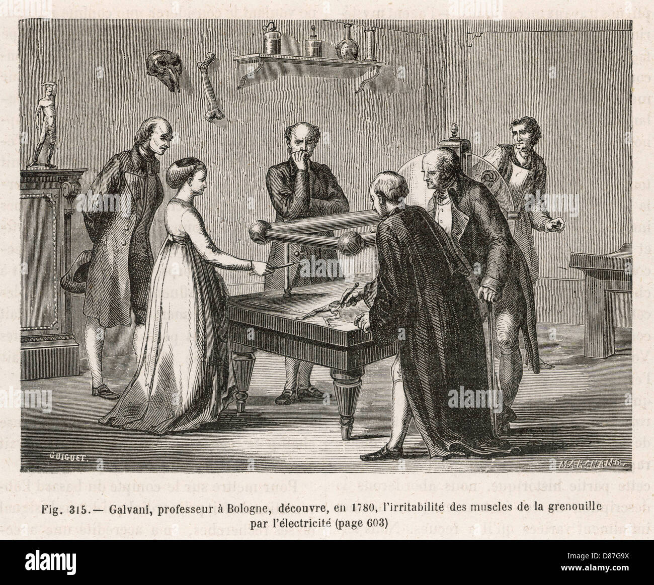 Luigi galvani hi-res stock photography and images - Alamy