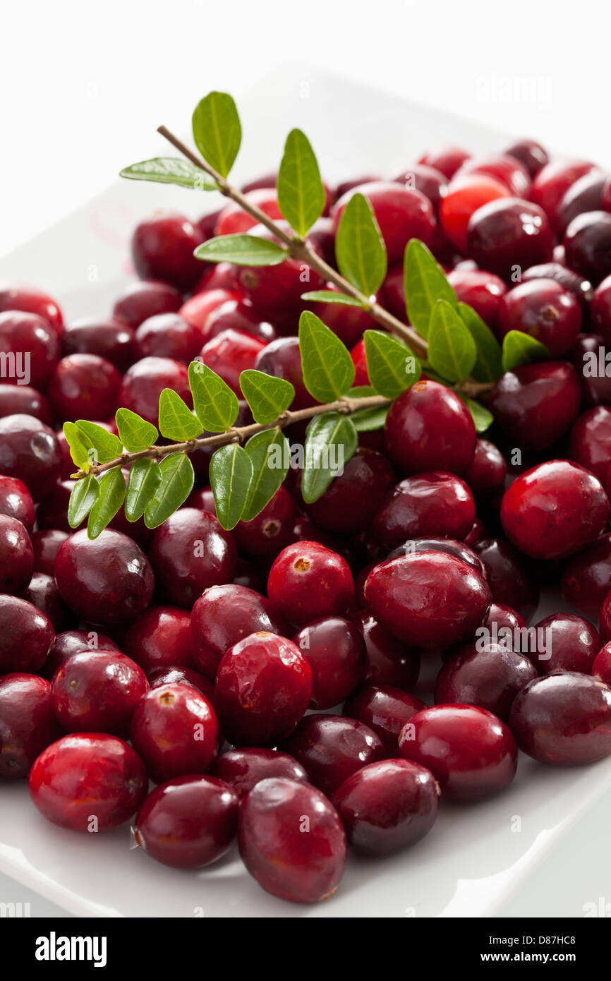 Fresh cranberries close up Cut Out Stock Images & Pictures - Alamy