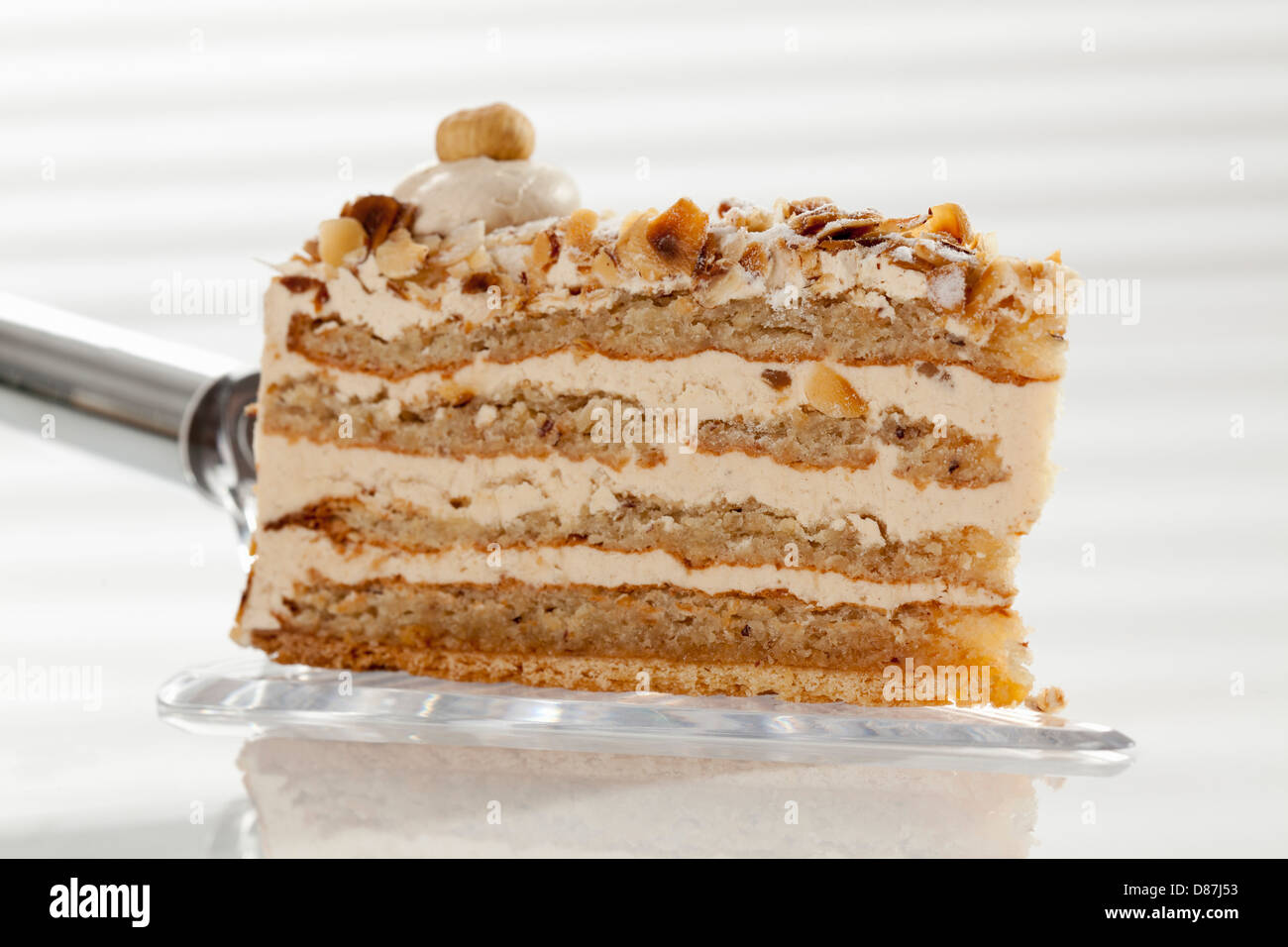 Slice of Noisette Cake on cake server, close up Stock Photo - Alamy