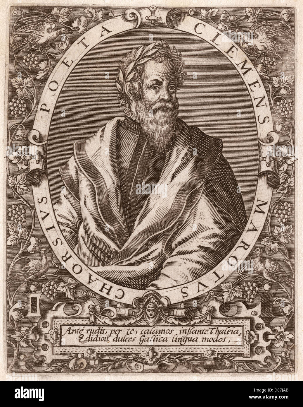 Marot hi-res stock photography and images - Alamy