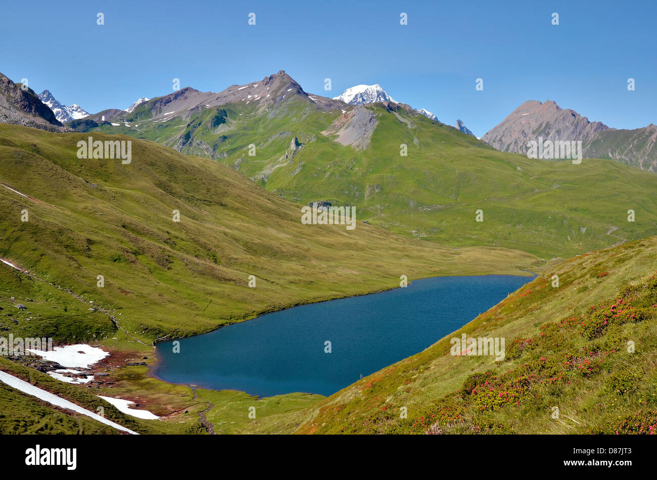 Longet hi-res stock photography and images - Alamy