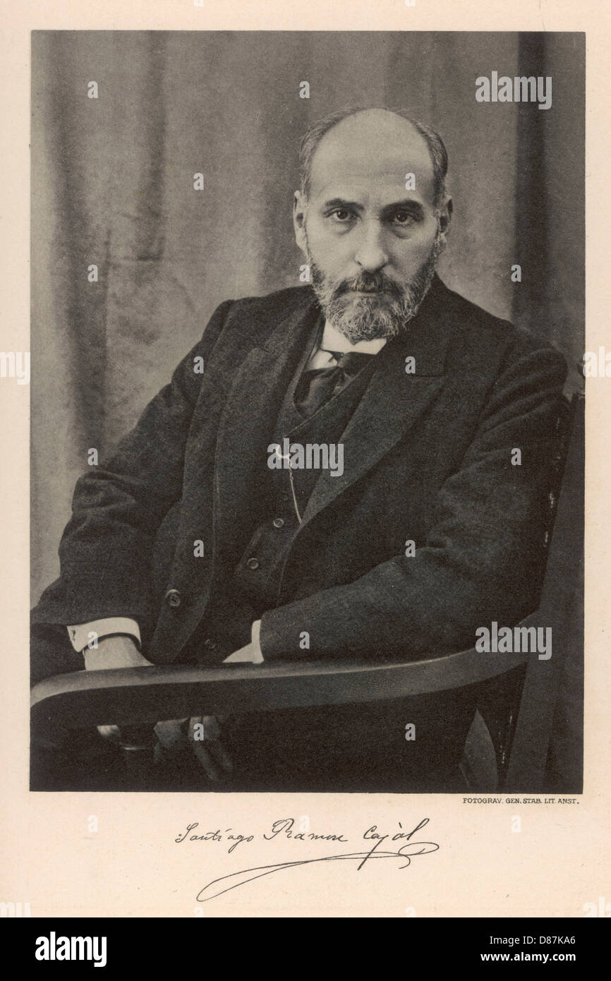Santiago Ramon Y Cajal High Resolution Stock Photography and Images - Alamy