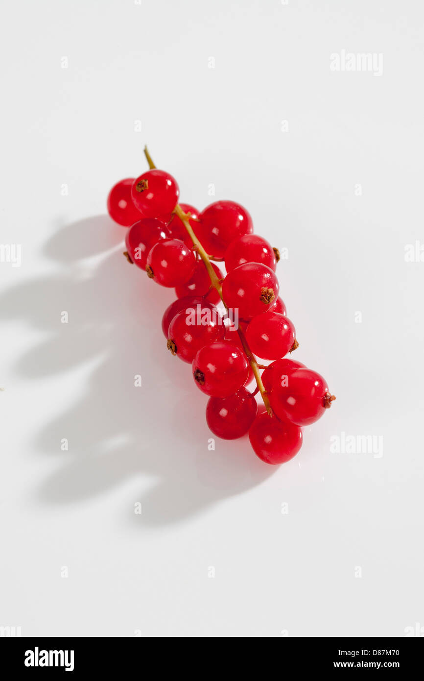 Close up white currants hi-res stock photography and images - Alamy