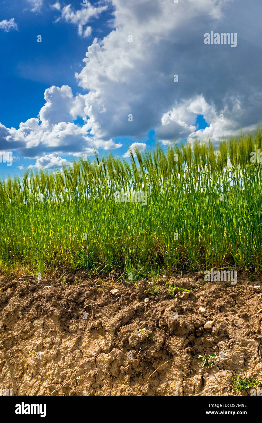 Dark Soil Farmland Stock Photos & Dark Soil Farmland Stock Images - Alamy