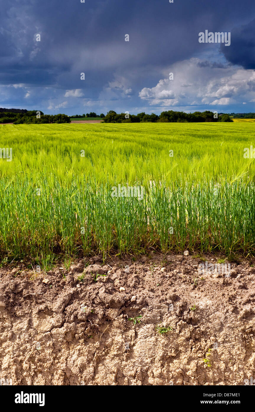 Dark soil farmland hi-res stock photography and images - Alamy