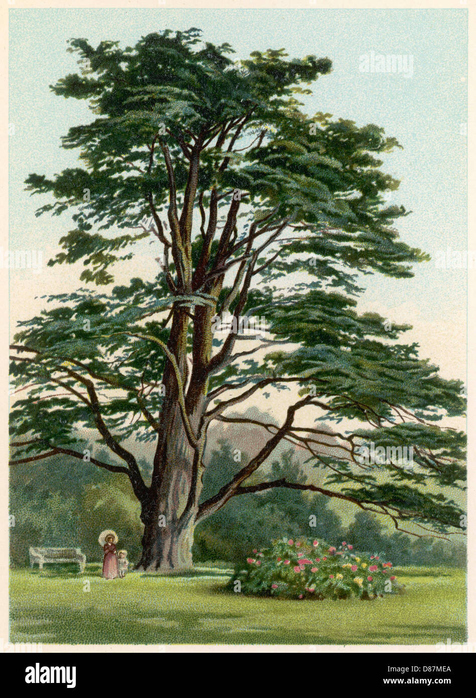 Historical lebanon hi-res stock photography and images - Alamy