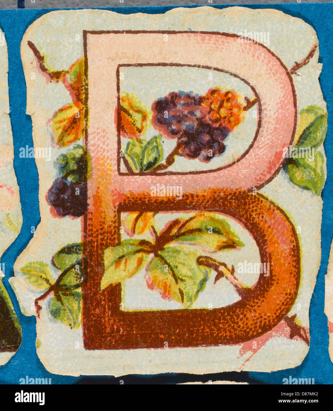 Decorative Flower Alphabet - B Stock Photo - Alamy