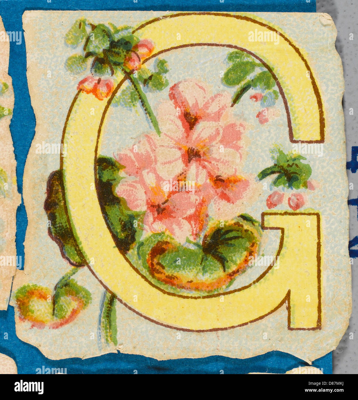Letter g flowers hi-res stock photography and images - Alamy
