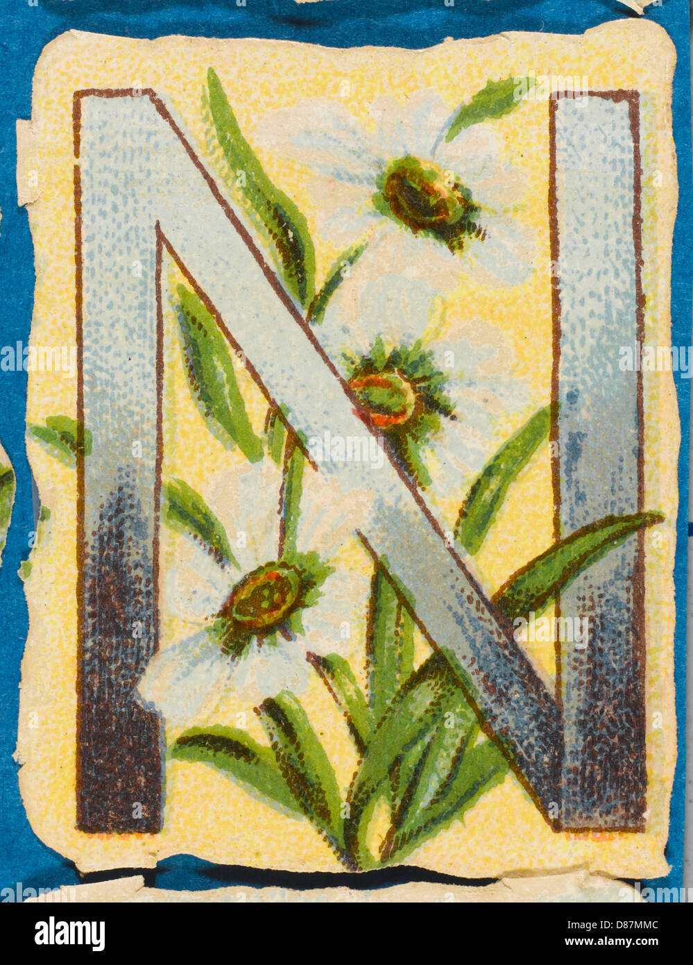 Letter n flowers hi-res stock photography and images - Alamy