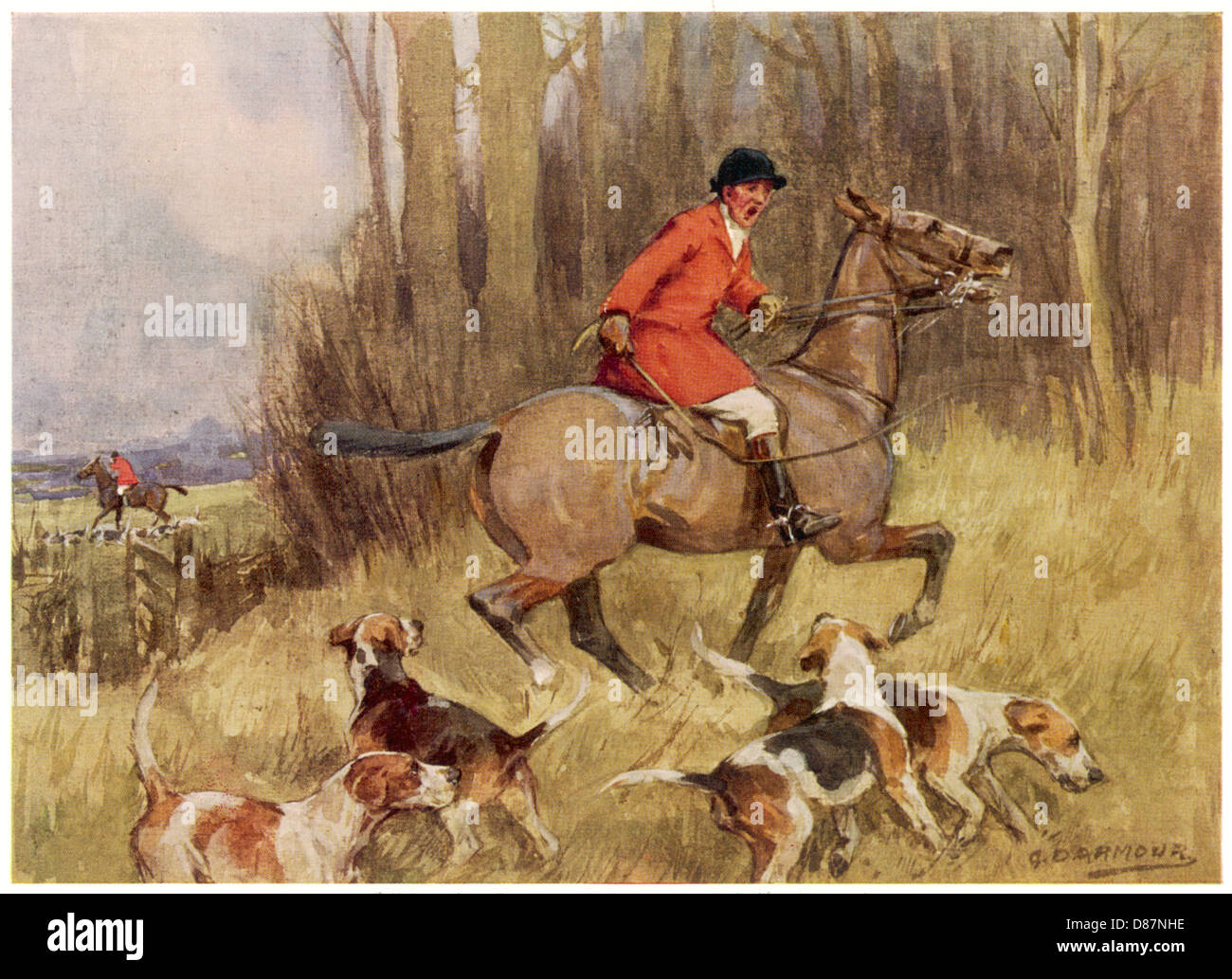 The hunting chase hi-res stock photography and images - Alamy