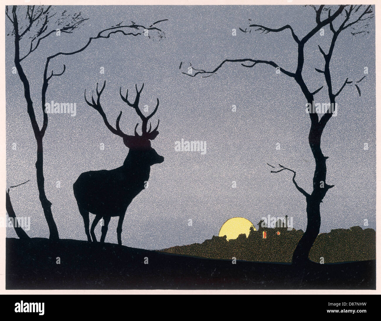 A stag stands hi-res stock photography and images - Alamy