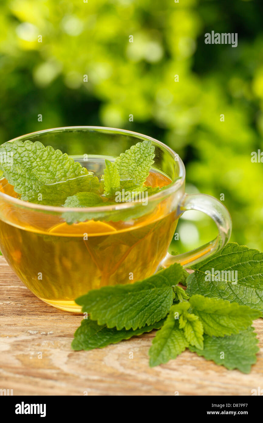 Infusion of melissa officinalis hi-res stock photography and images - Alamy