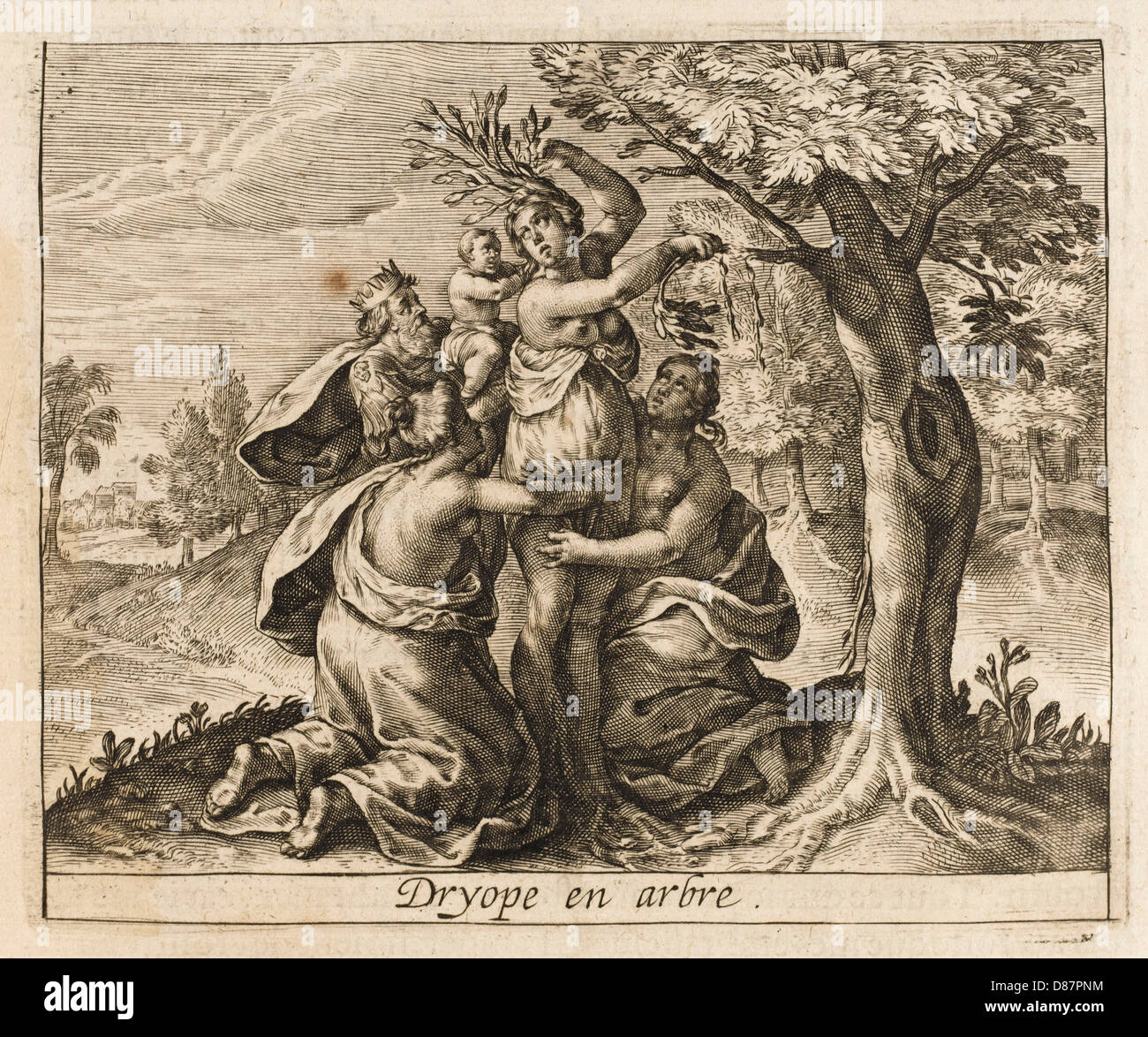 Dryope into Tree Stock Photo - Alamy